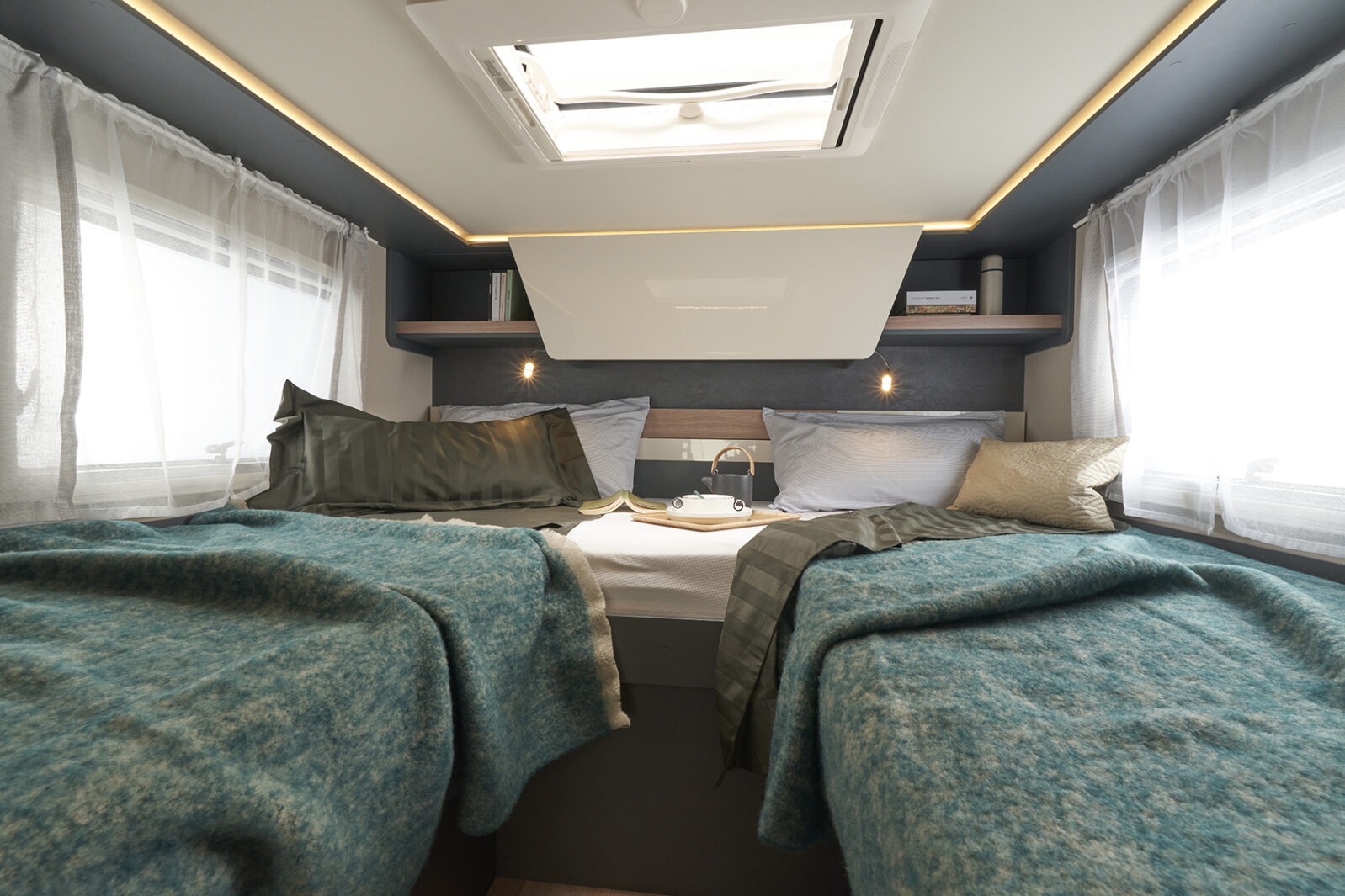 The new generation of Kosmo: “Born to be a Laika” | Laika